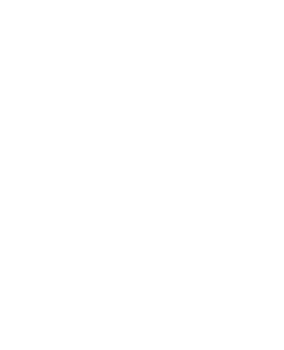 History | Claude Lyons